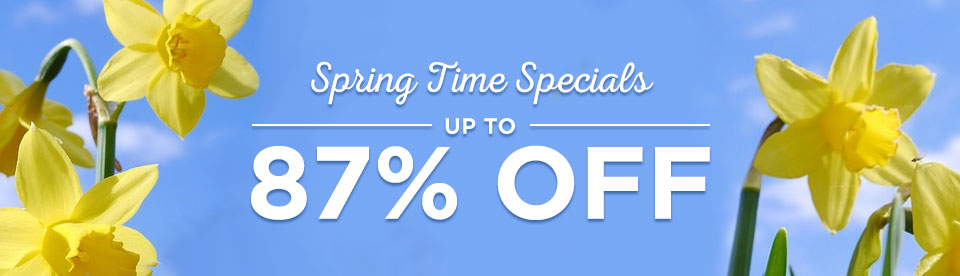 Online Magazines - Digital Magazine Subscriptions | Pocketmags