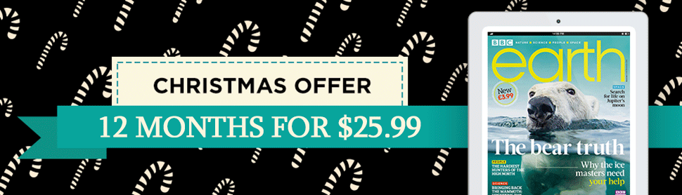 Online Magazines - Digital Magazine Subscriptions | Pocketmags